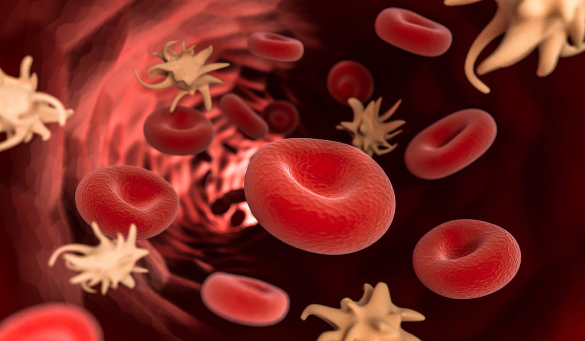 Quel est le rôle des plaquettes au sein du système immunitaire ? | Mon ...