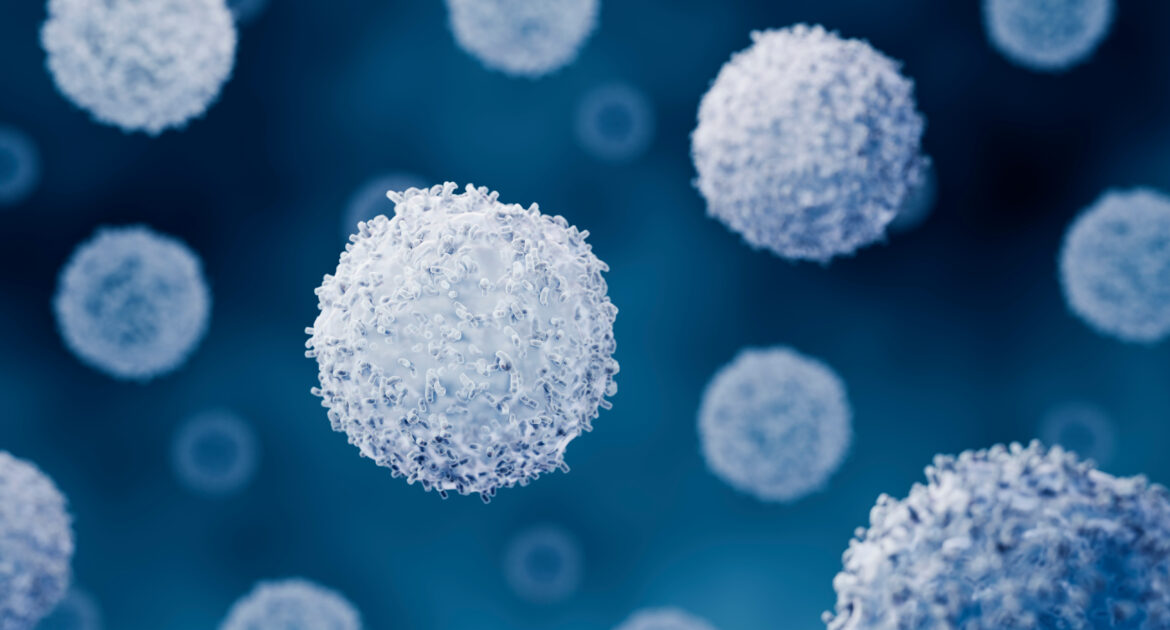 Les lymphocytes T : acteurs clés du système immunitaire | Mon Système ...